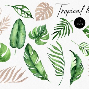 Watercolor Tropical Leaves Clipart - Hand Drawn Greenery Clipart With ...