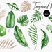 Watercolor Tropical Leaves Clipart - Hand Drawn Greenery Clipart With ...
