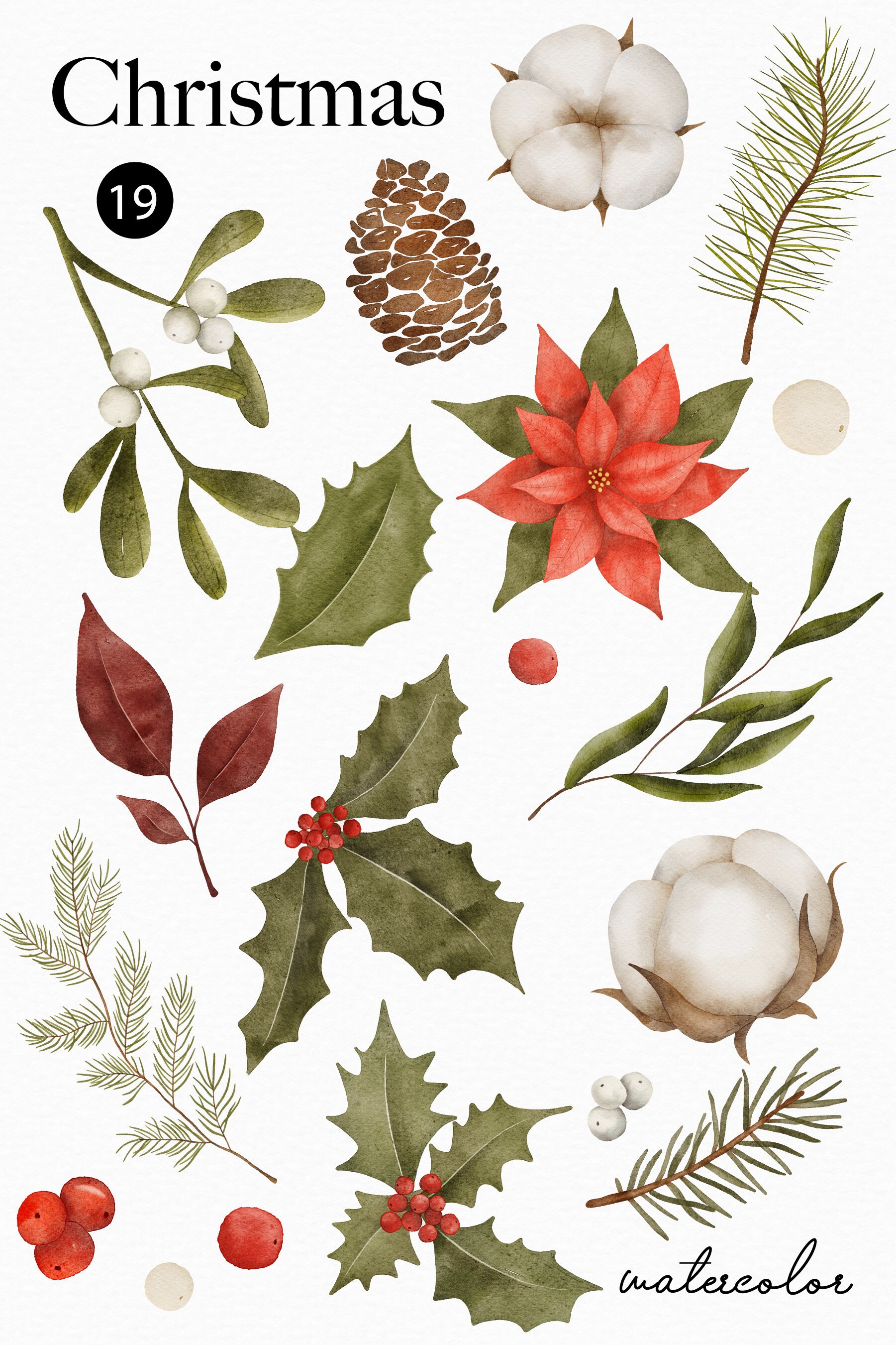 Winter Watercolor Clipart - Christmas Flowers - Pine Clipart ...