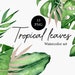 Watercolor Tropical Leaves Clipart - Hand Drawn Greenery Clipart With ...