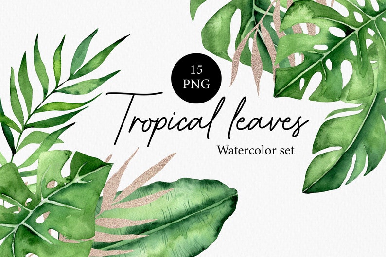 Watercolor Tropical Leaves Clipart - Hand Drawn Greenery Clipart With ...