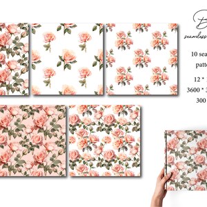 Watercolor Blush Rose Digital Paper Pack, Blush Roses Scrapbook, Roses ...