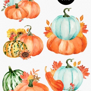 Watercolor Pumpkin Clipart - Autumn Pumpkin Png - Fall Pumpkin Png ...
