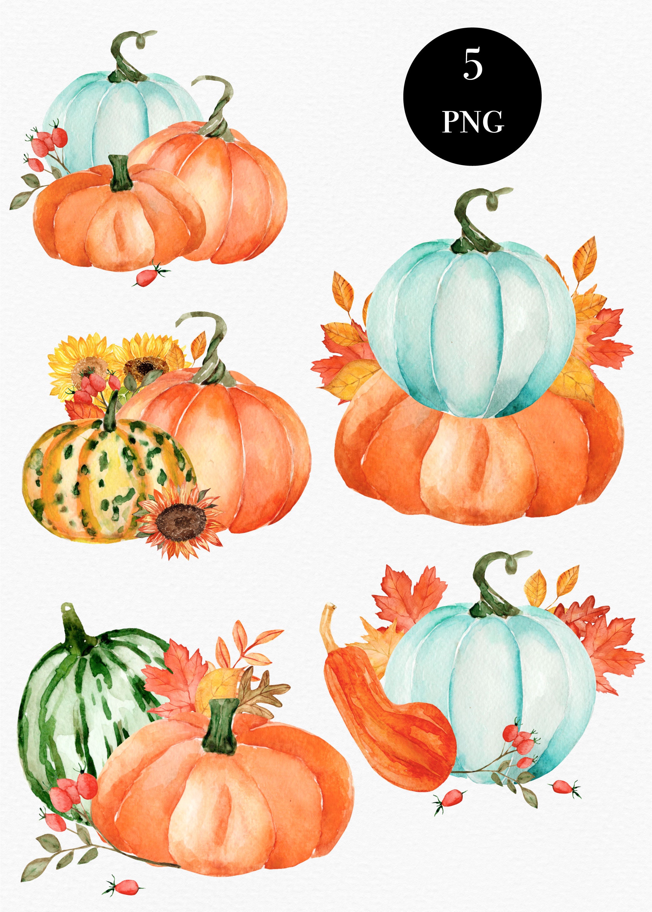 Watercolor Pumpkin Clipart Autumn Pumpkin Png Fall Pumpkin - Etsy