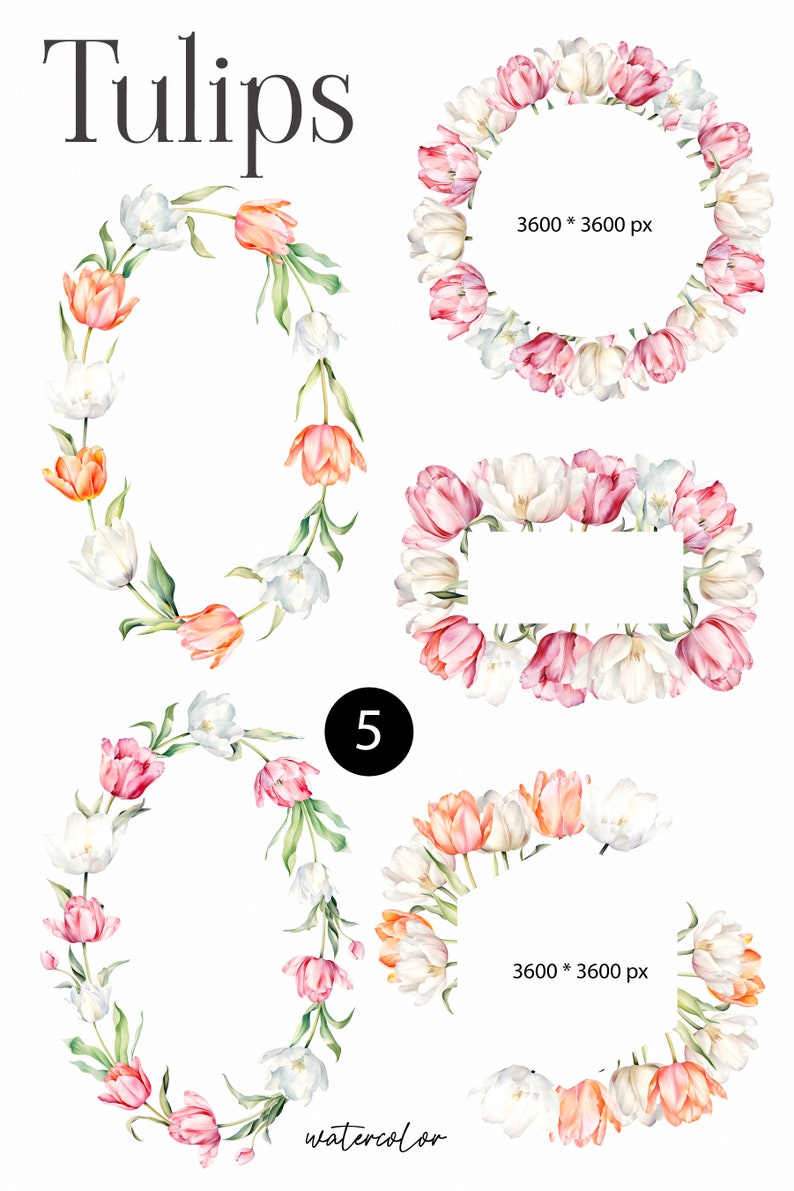 Watercolor Tulips Clipart Watercolor Floral Clipart Png Watercolor ...