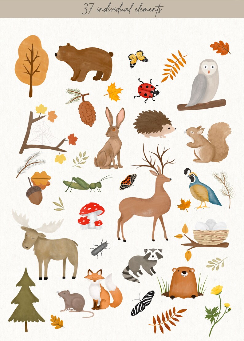 Forest Animal Clipart - PNG - Woodland Animals Clipart - Deer Clipart ...