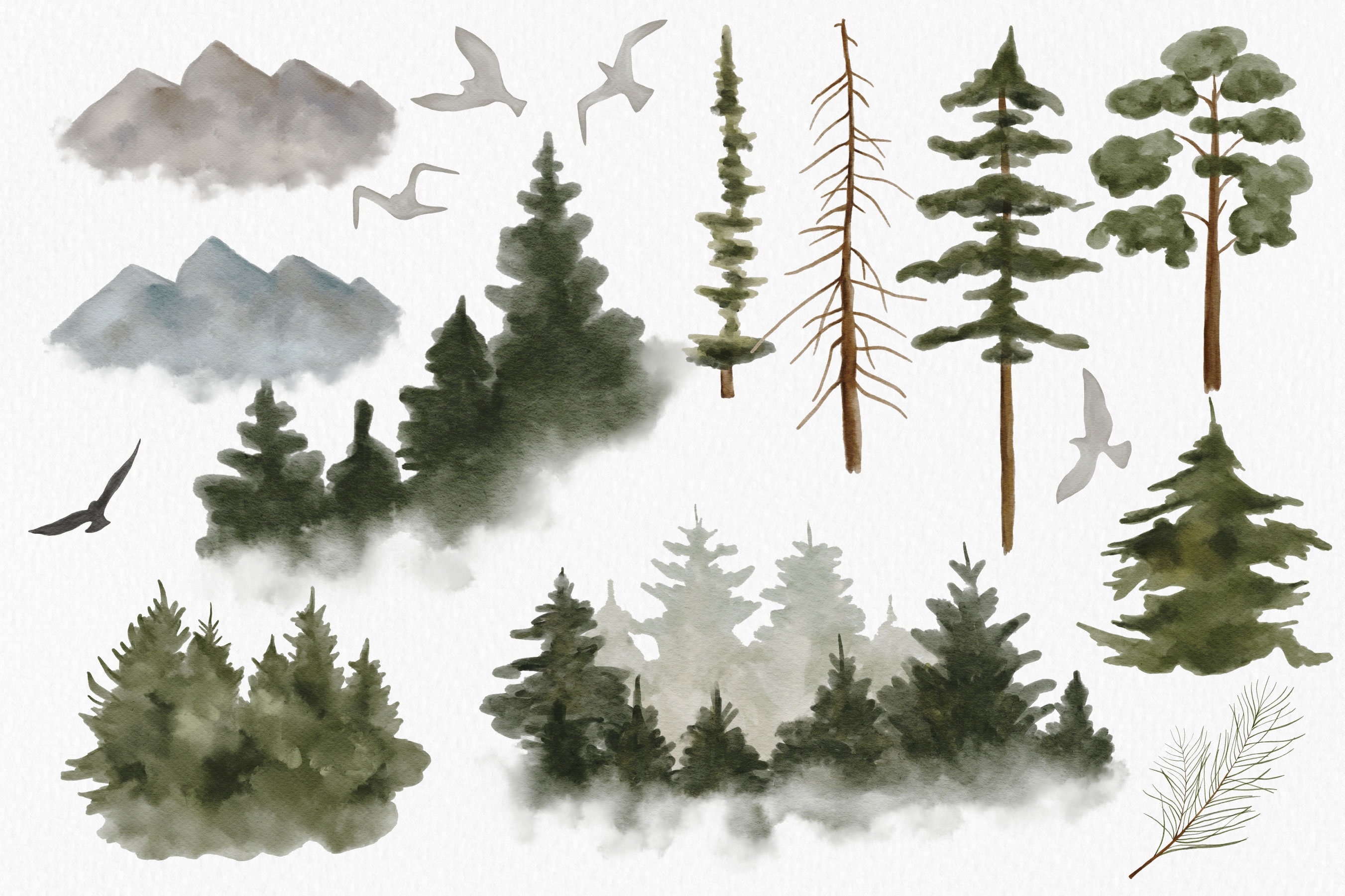 Watercolor Forest Digital Clipart Set Forest Landscape Clipart Floral ...