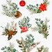 Watercolor Holly Christmas Clipart - Winter Decor Cozy - Clipart ...