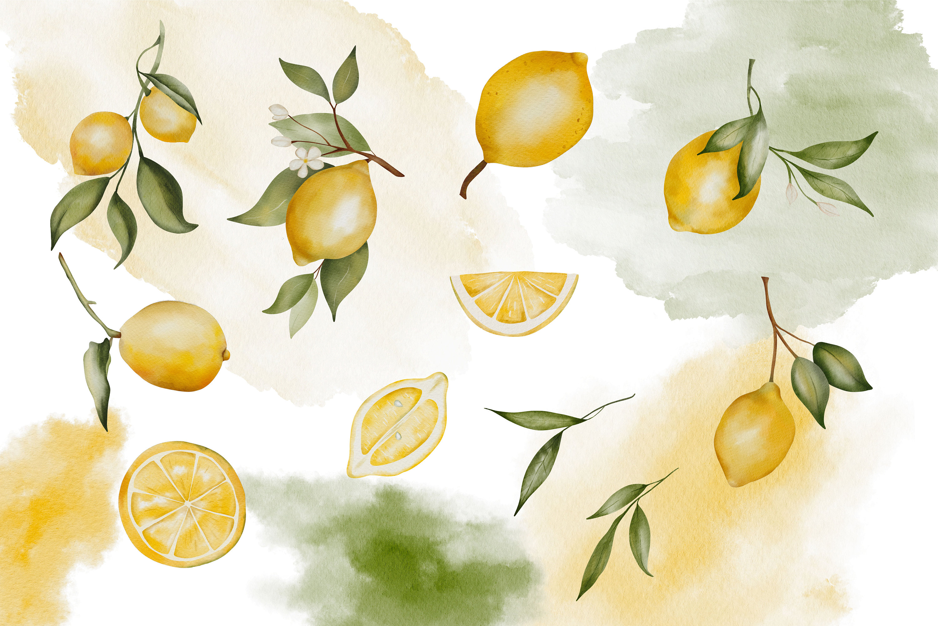Watercolor Citrus Clipart - Wedding Clip Art With Lemons Png ...