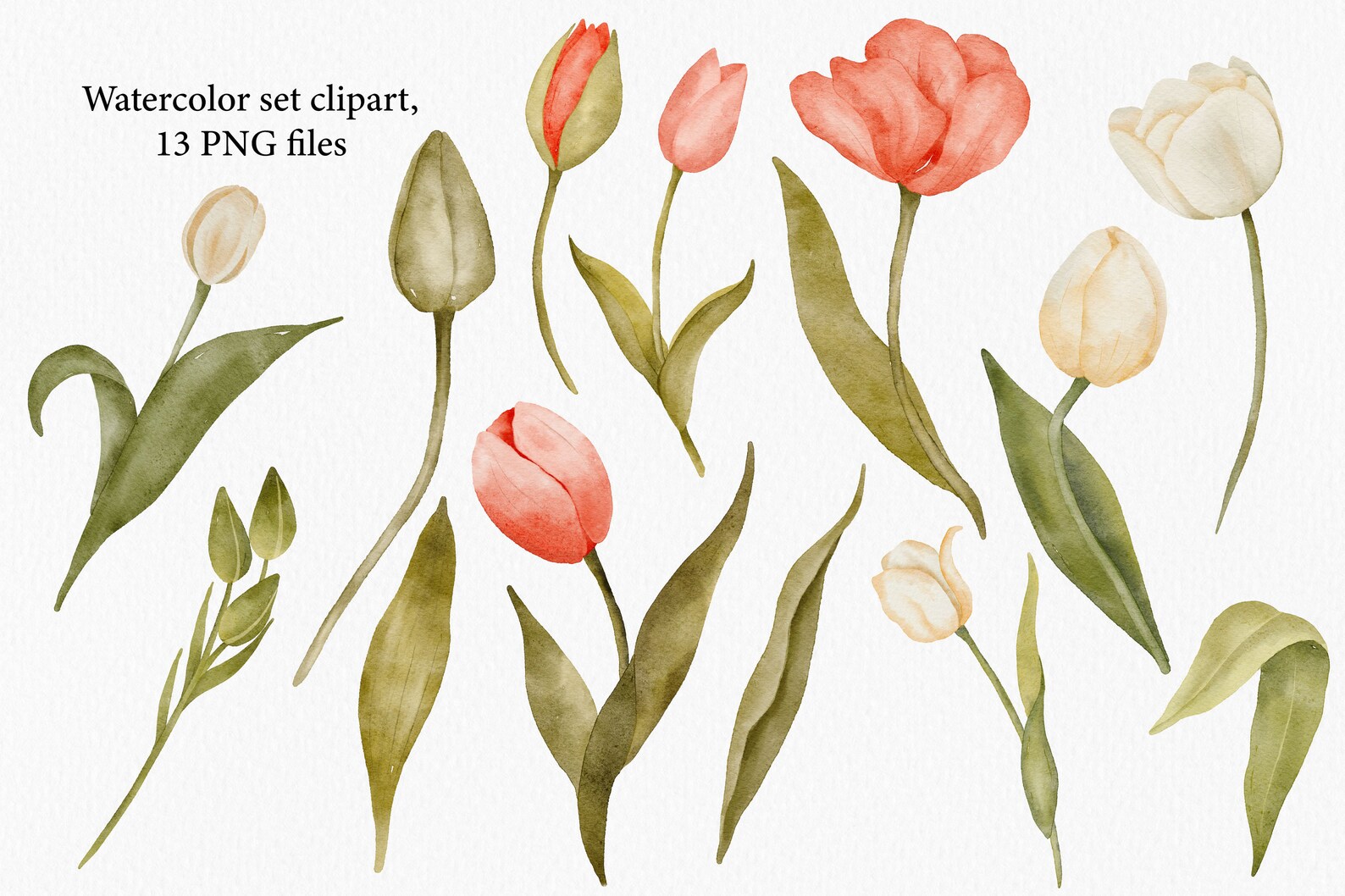 Watercolor Tulips Clipart, Tulips Clipart, Spring Clipart, Spring ...