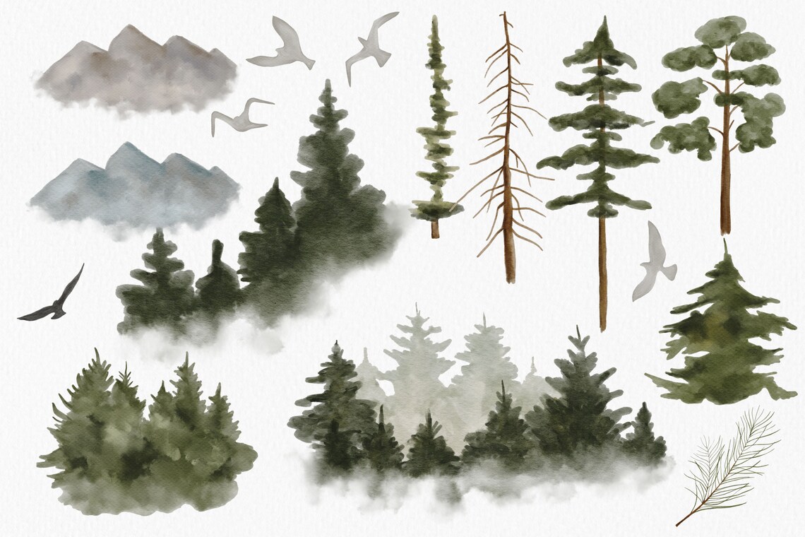 Watercolor Forest Digital Clipart Set Forest Landscape - Etsy