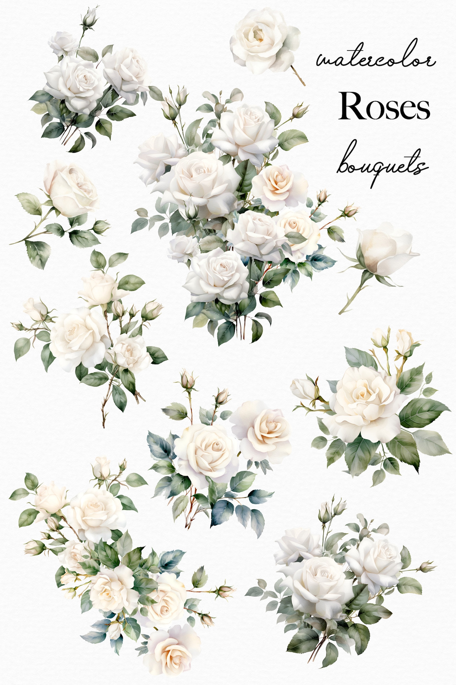 Watercolor White Roses Clipart Watercolor Floral Clipart White Rose ...