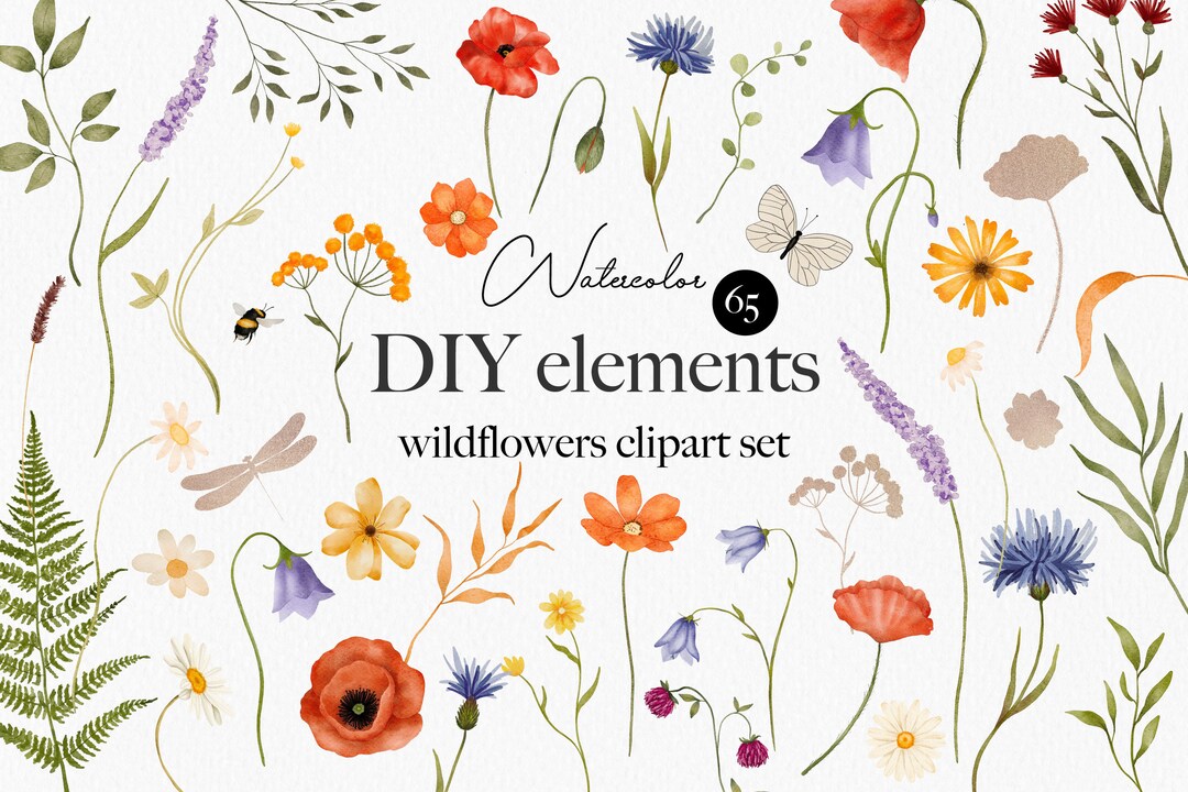 Wildflowers Watercolor Floral Clipart , Wild Flowers, Wedding Clipart ...