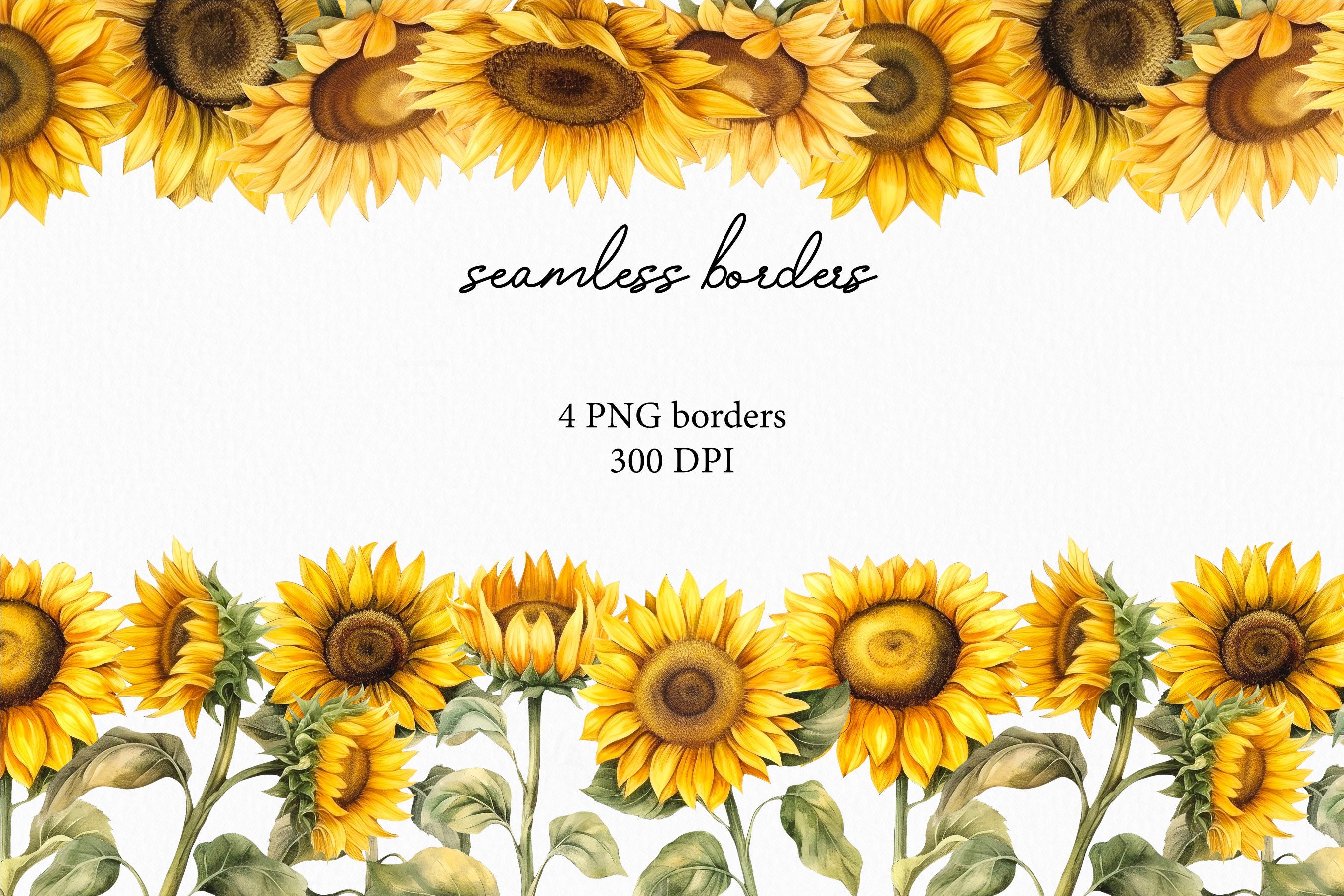 Sunflower Border Clipart. Watercolor Sunflowers Frame PNG. Seamless ...