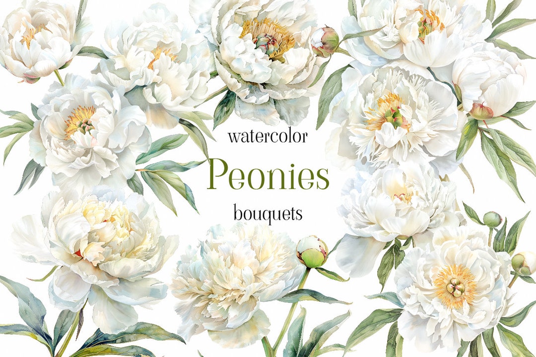 Watercolor Peonies Clipart Set: Frames & Seamless Pattern - Watercolor ...