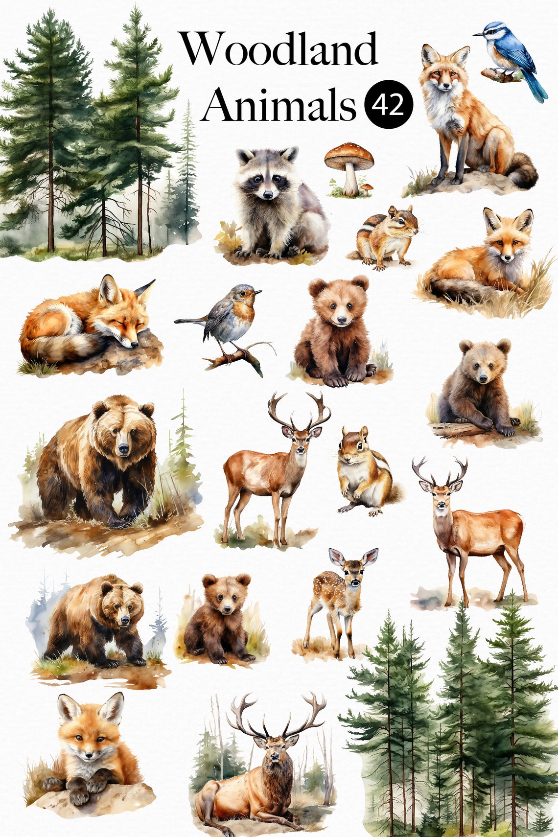 Whimsical Woodland Animals Clipart Set Watercolor Forest Animals PNG ...