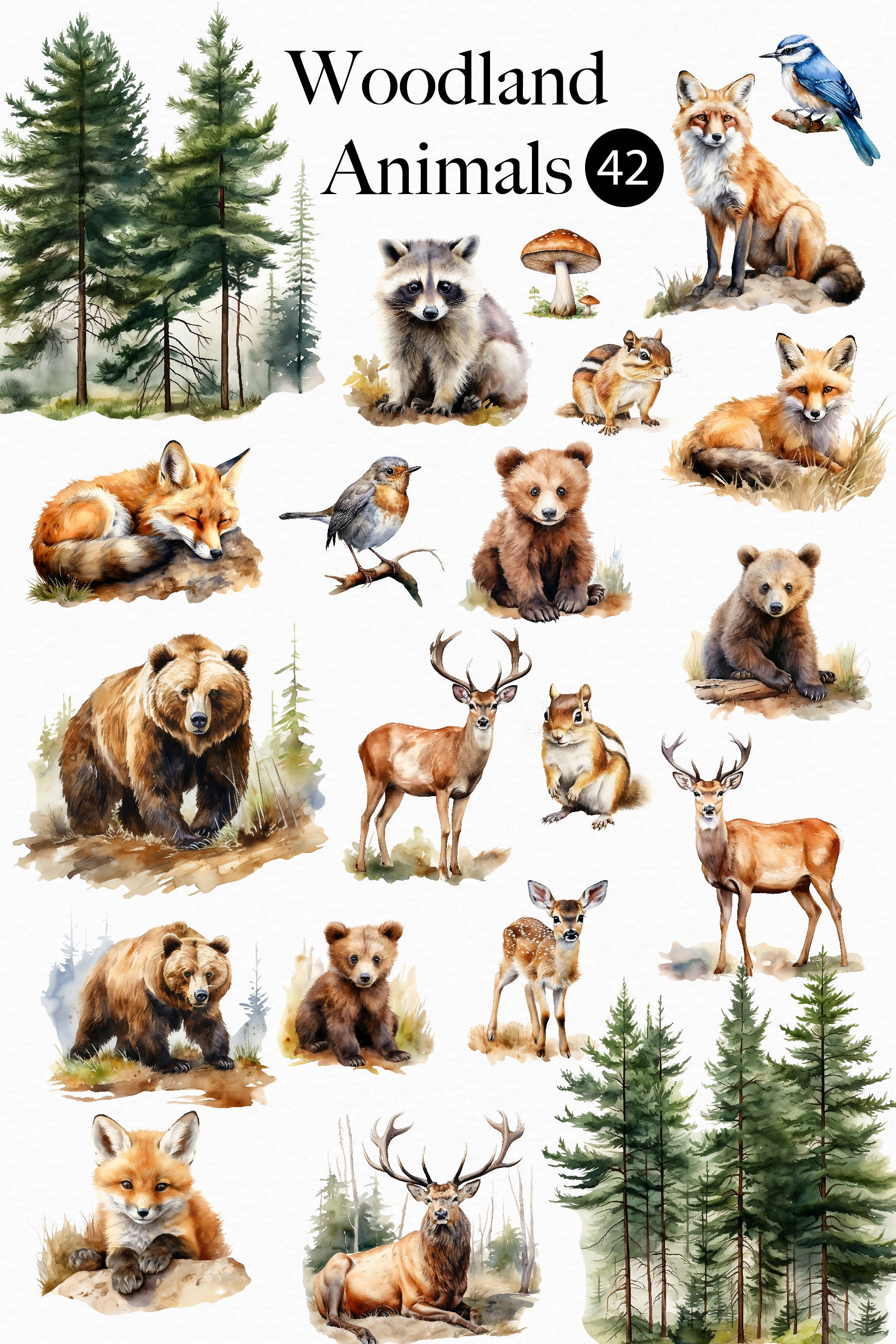 Whimsical Woodland Animals Clipart Set Watercolor Forest Animals PNG ...