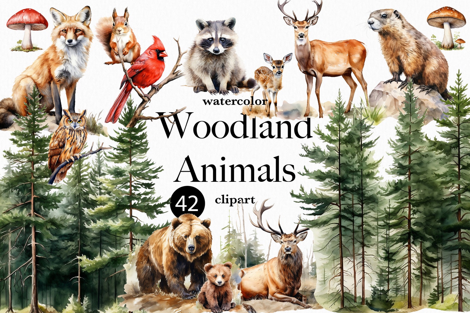 Whimsical Woodland Animals Clipart Set Watercolor Forest Animals PNG ...