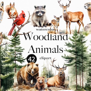Whimsical Woodland Animals Clipart Set - Watercolor Forest Animals PNG ...