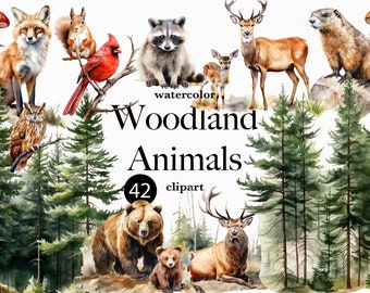 Woodland Animals Clipart Watercolor Forest Animals Png Watercolor ...