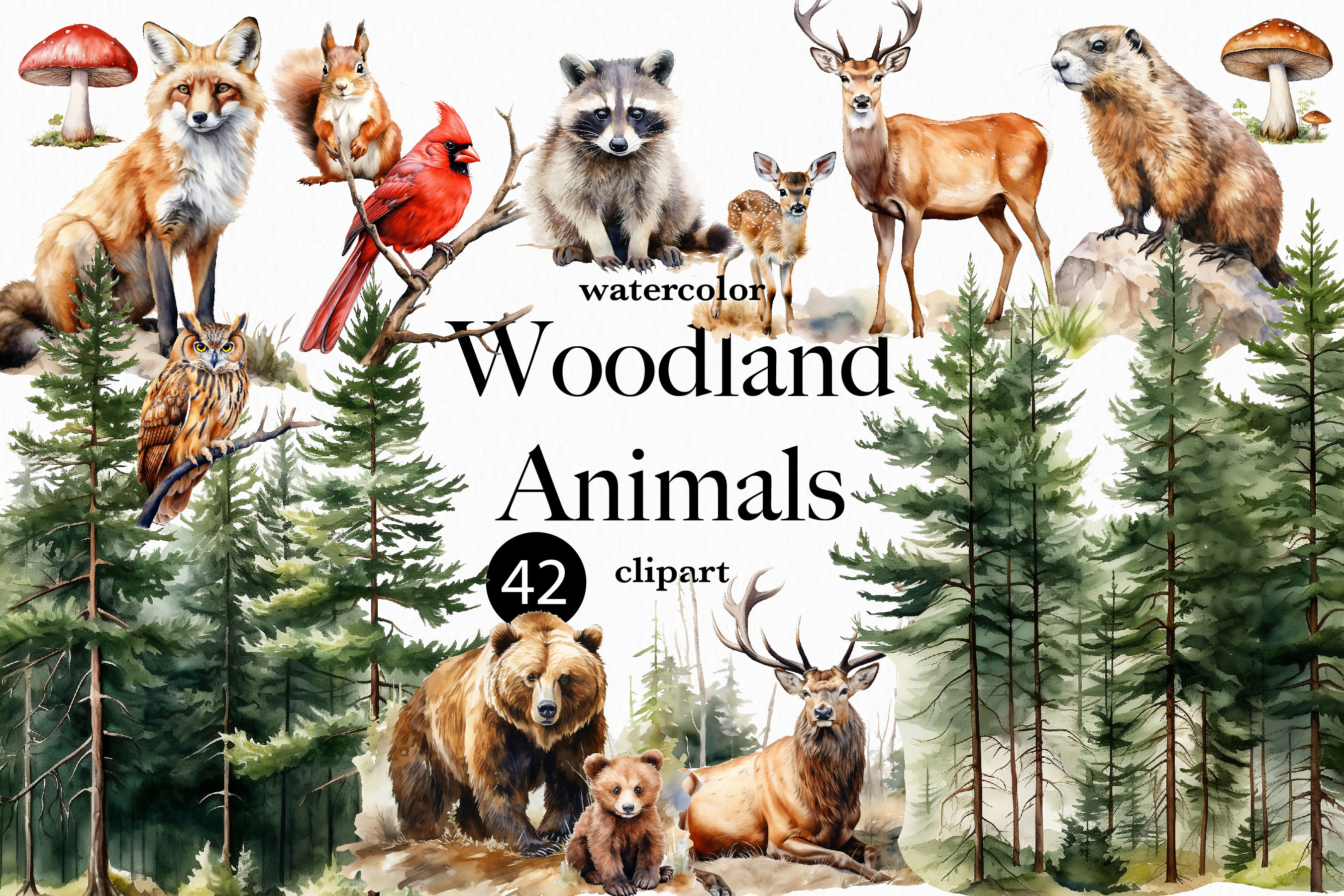 Whimsical Woodland Animals Clipart Set Watercolor Forest Animals PNG ...