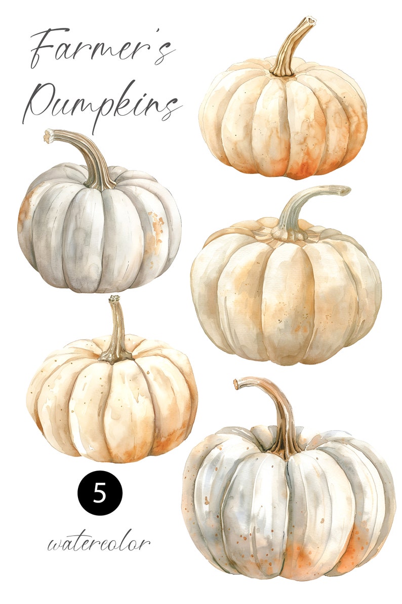 Watercolor Pumpkin Clipart - Autumn Pumpkin Png - Fall Pumpkin Png ...