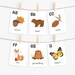 Woodland Alphabet Flashcards Forest Alphabet Cards Homeschool ABC Cards ...