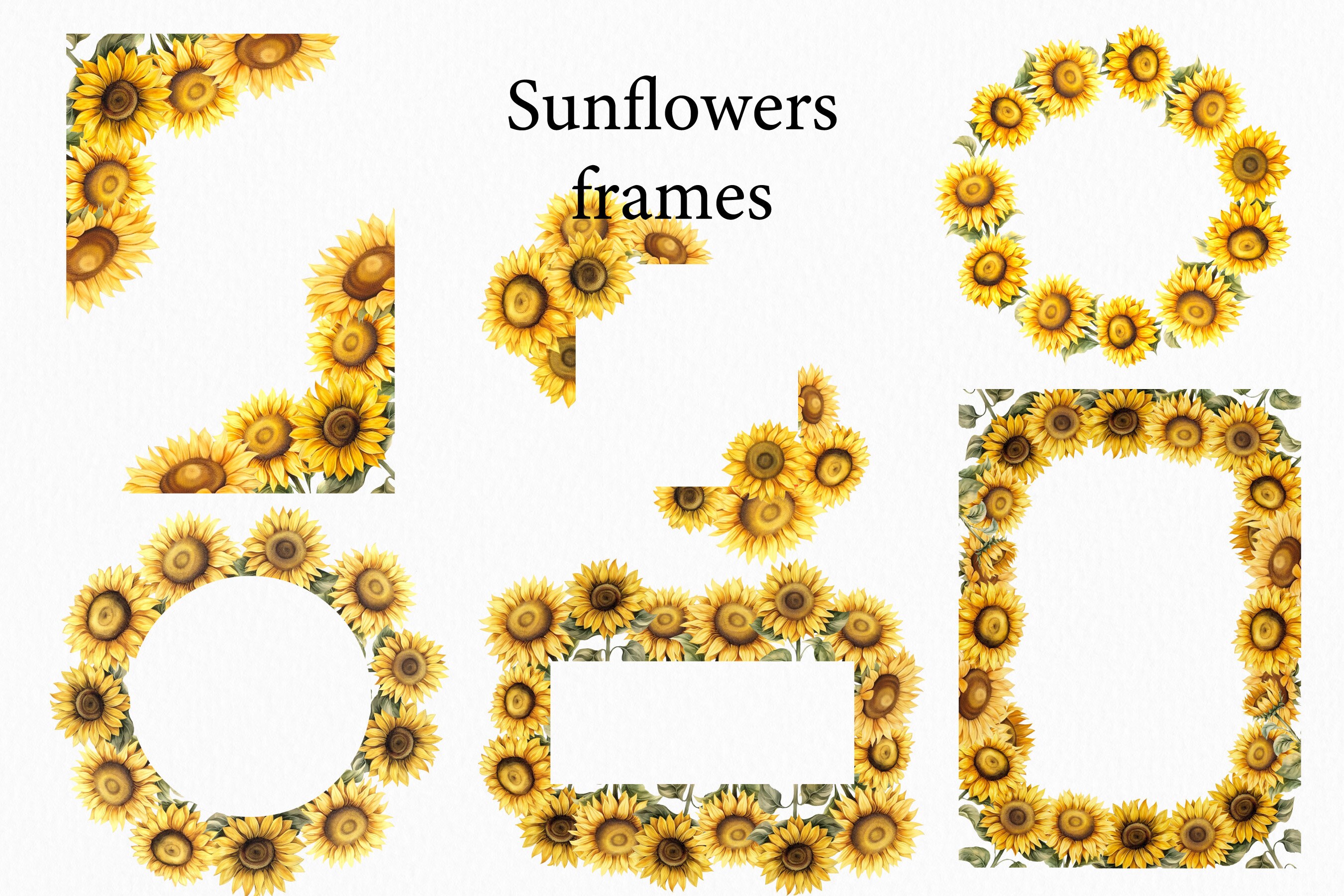 Sunflower Frames Clipart. Watercolor Sunflowers Frame PNG. Seamless ...