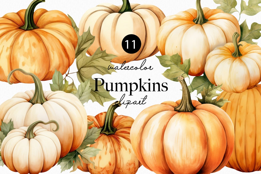 Watercolor Pumpkin Clipart - Autumn Pumpkin Png - Fall Pumpkin Png ...