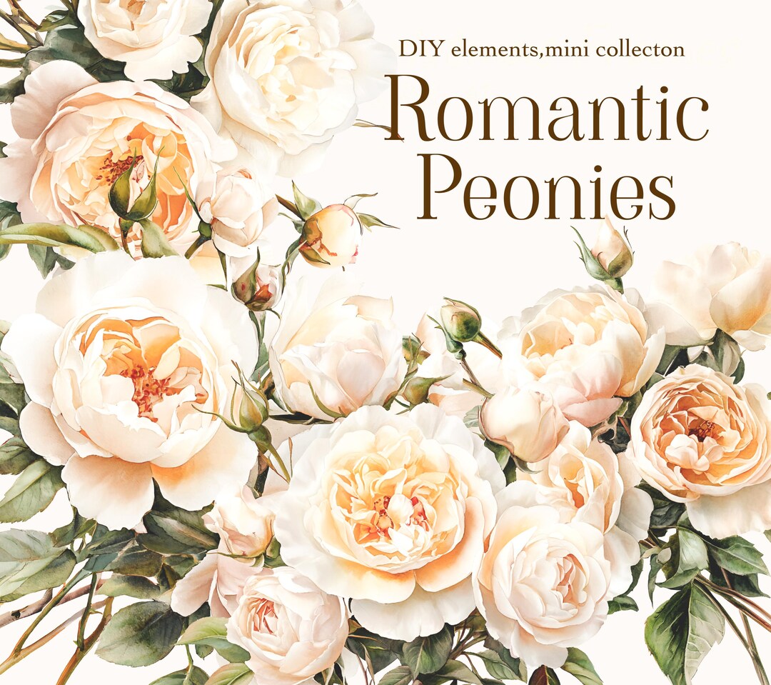 Watercolor Peonies Clipart Set: Frames & Peonies Bouquet - Watercolor ...