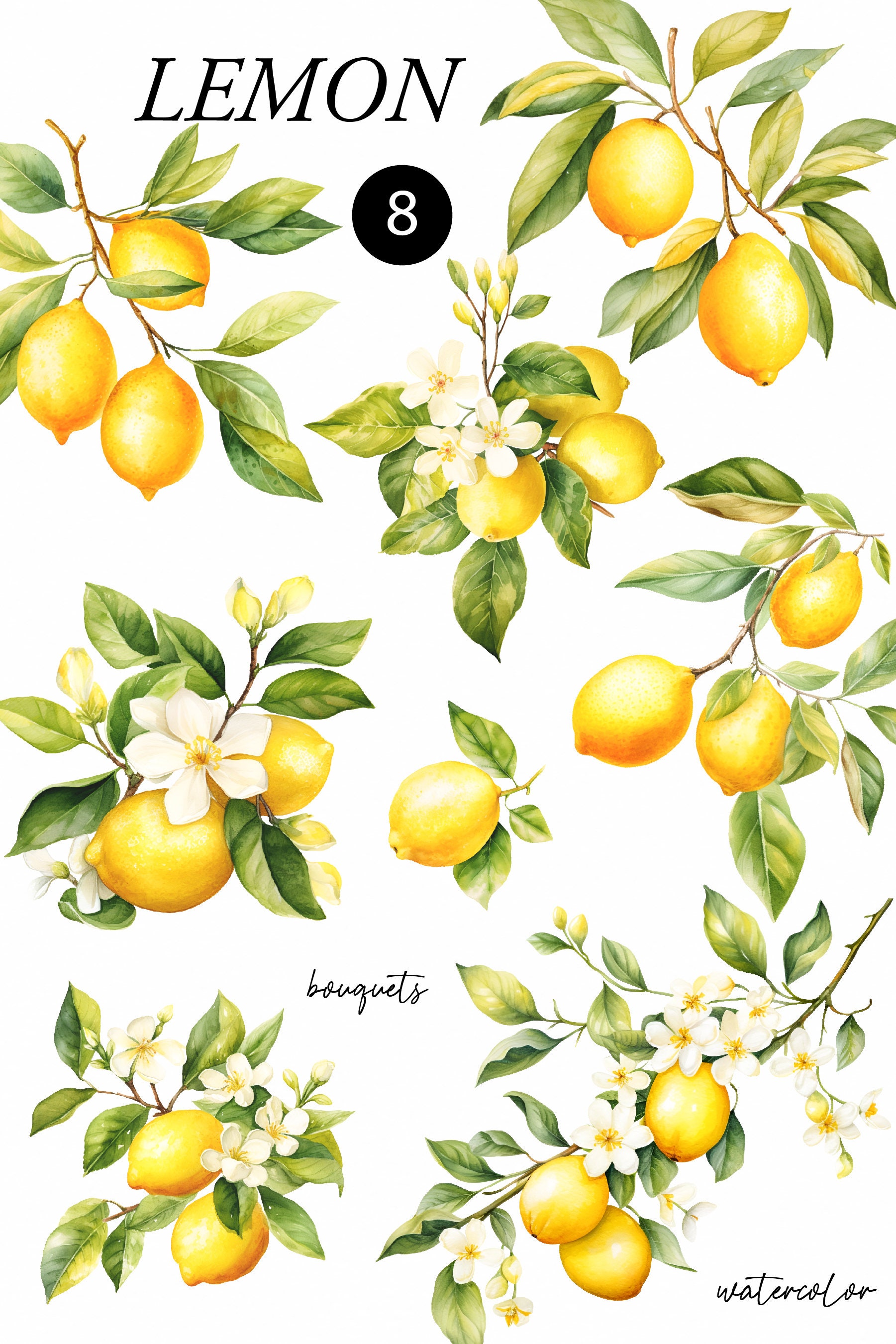 Watercolor Lemon Clipart Watercolor Lemons Png Lemon Twig Clipart Lemon ...