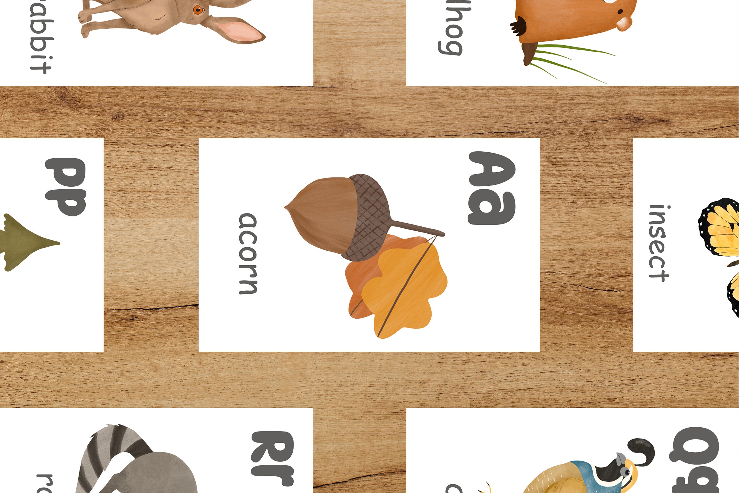 Woodland Alphabet Flashcards Forest Alphabet Cards Homeschool ABC Cards ...