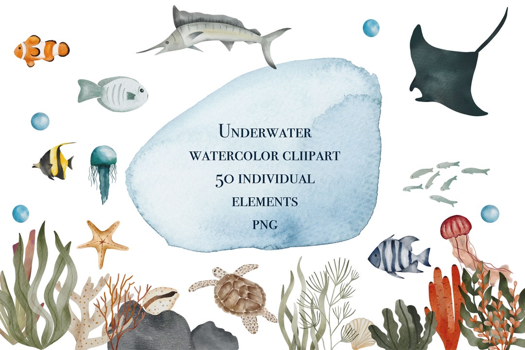 Undersea Watercolor Clipart - Baby Wall Art -jellyfish -whale - Cute ...