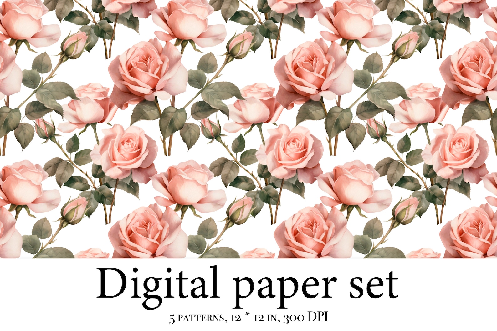 Watercolor Blush Rose Digital Paper Pack, Blush Roses Scrapbook, Roses ...