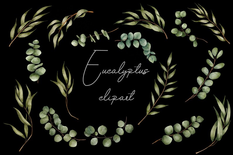 Eucalyptus Watercolor Set - Greenery Clipart - Foliage Set - Green ...