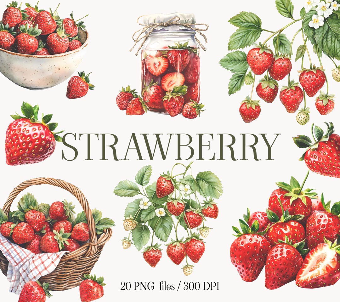 Fresh Strawberry Watercolor Clipart , DIY Strawberry , High-quality ...