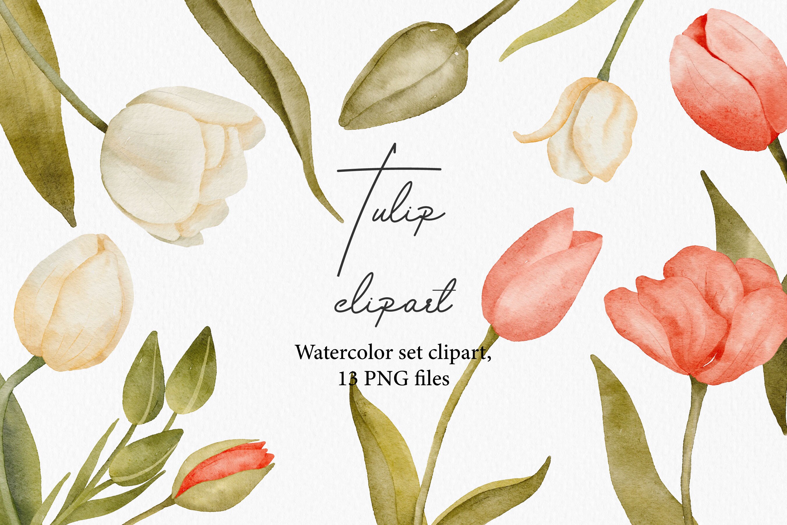 Watercolor Tulips Clipart, Tulips Clipart, Spring Clipart, Spring ...