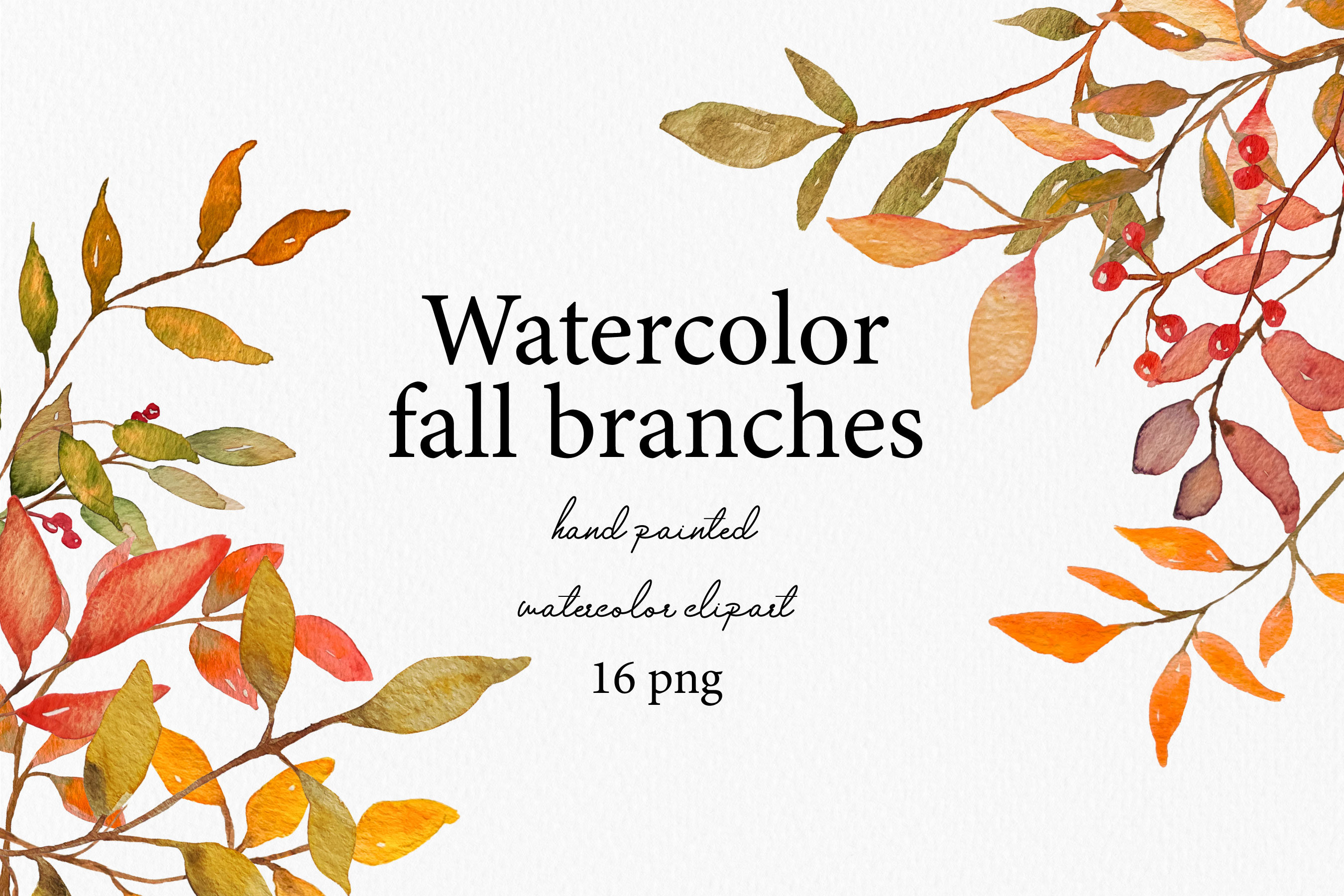 Autumn Watercolor Clipart Fall Clip Art Fall Leaves Clipart berries ...