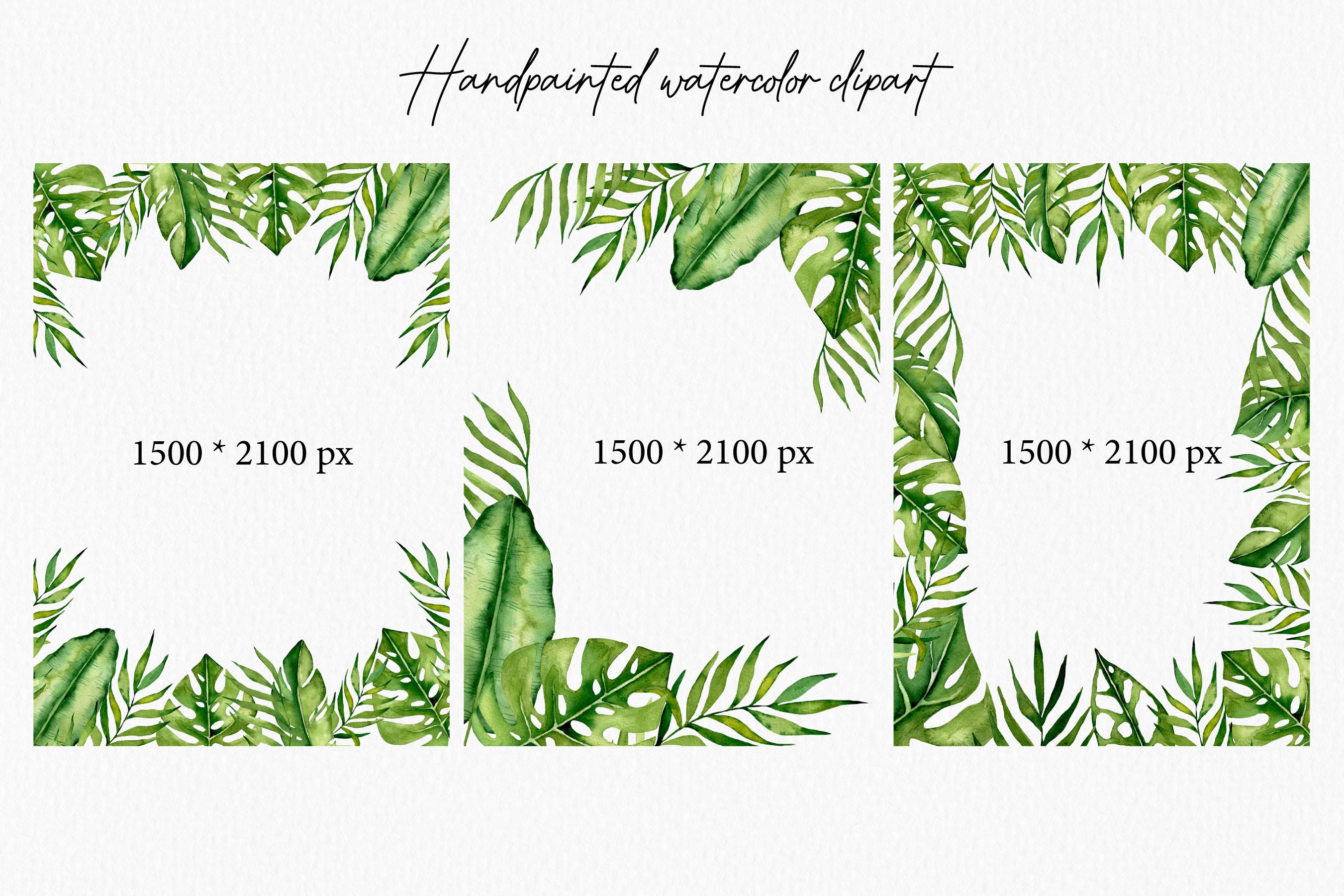 Tropical Leaves Clipart Watercolor Jungle Frames Clip Art - Etsy