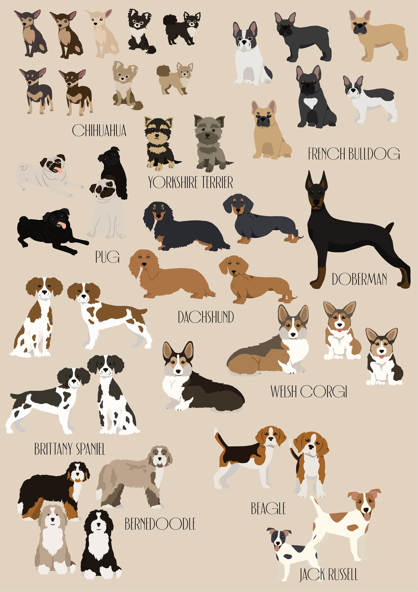 Dog Clipart-dog Clip Art-puppy Clipart-puppies-puppy Dog Clipart ...