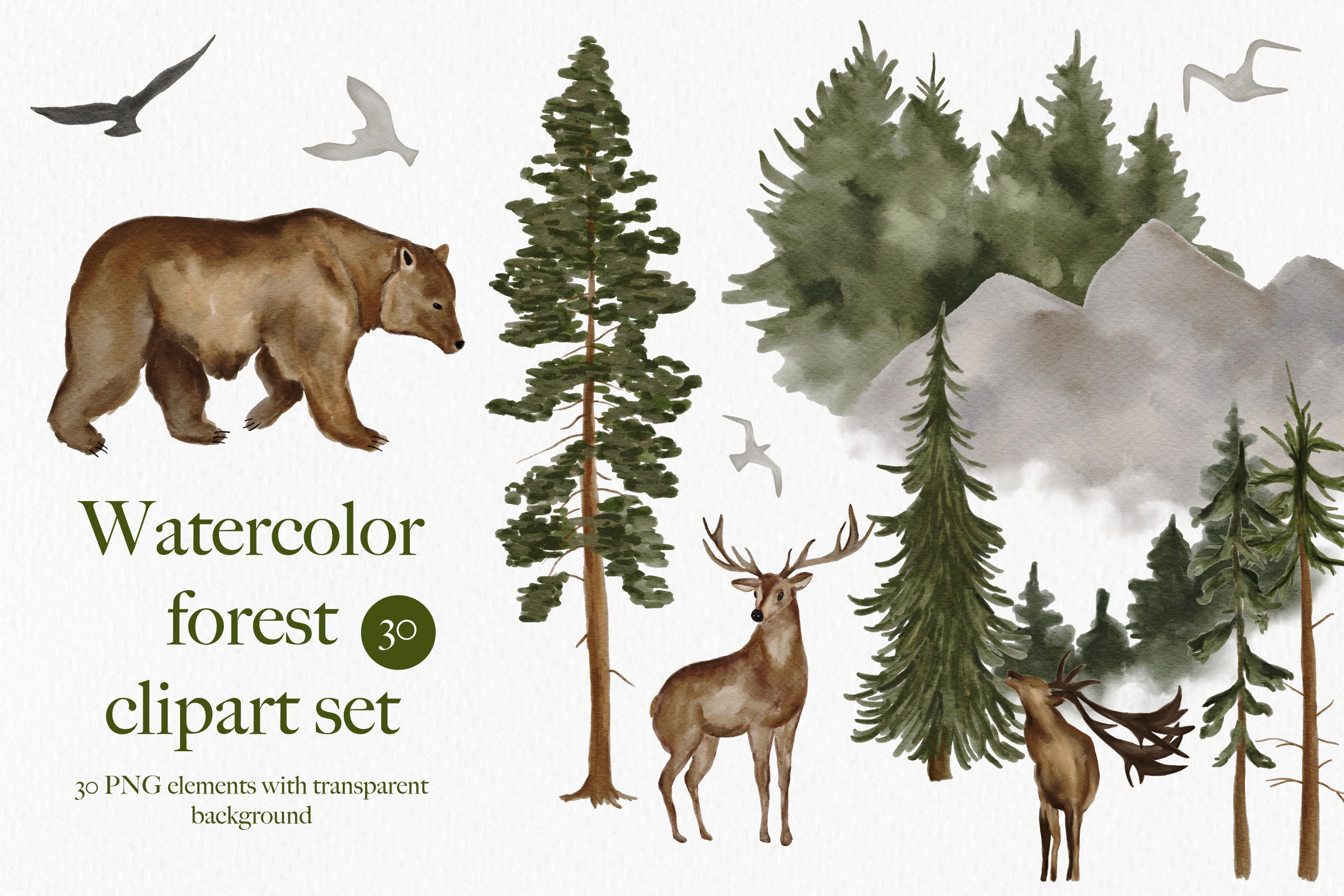 Watercolor Forest Digital Clipart Set Forest Landscape Clipart Floral ...