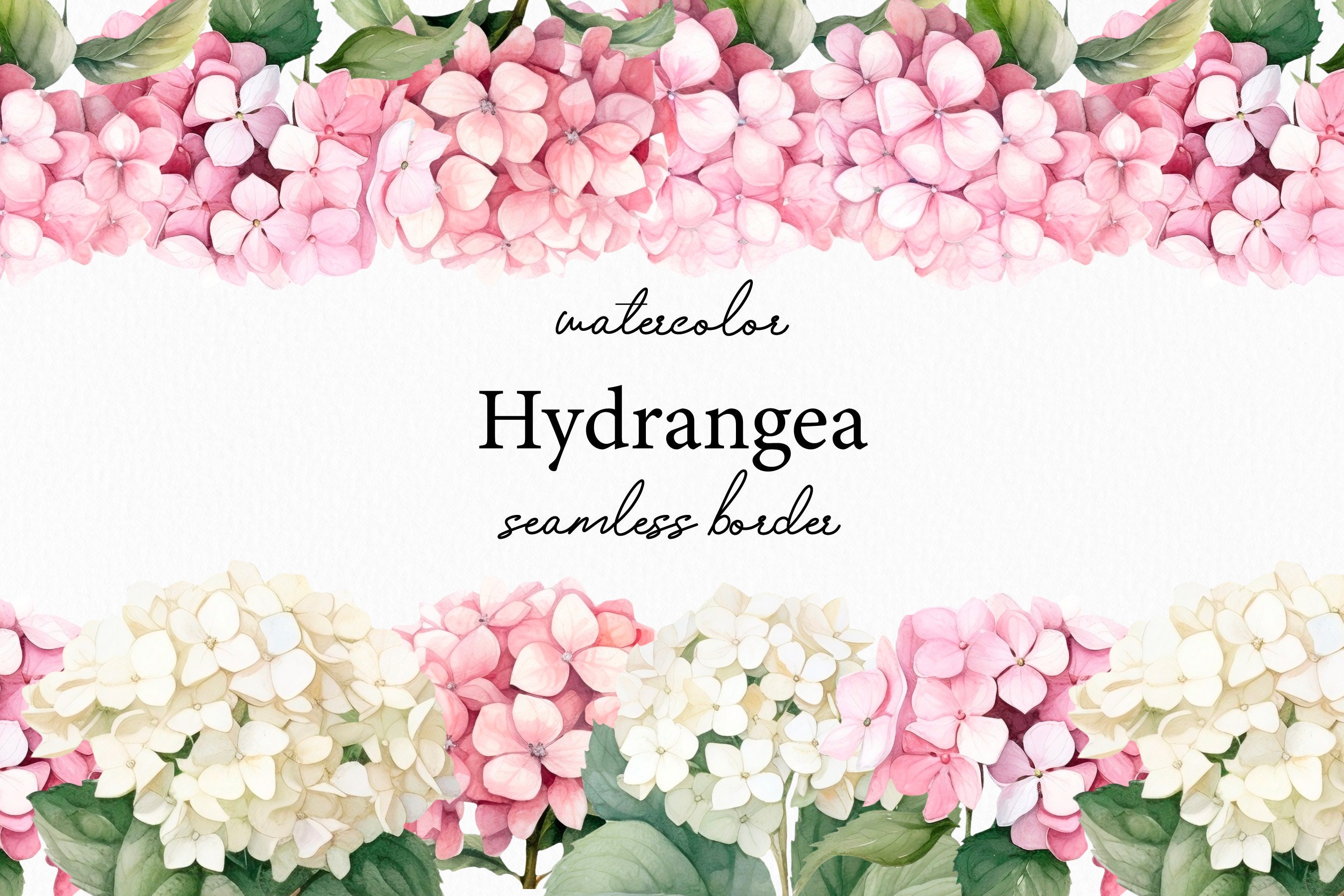 Hydrangea Watercolor Seamless Border, Pink Floral Hydrangea Png ...