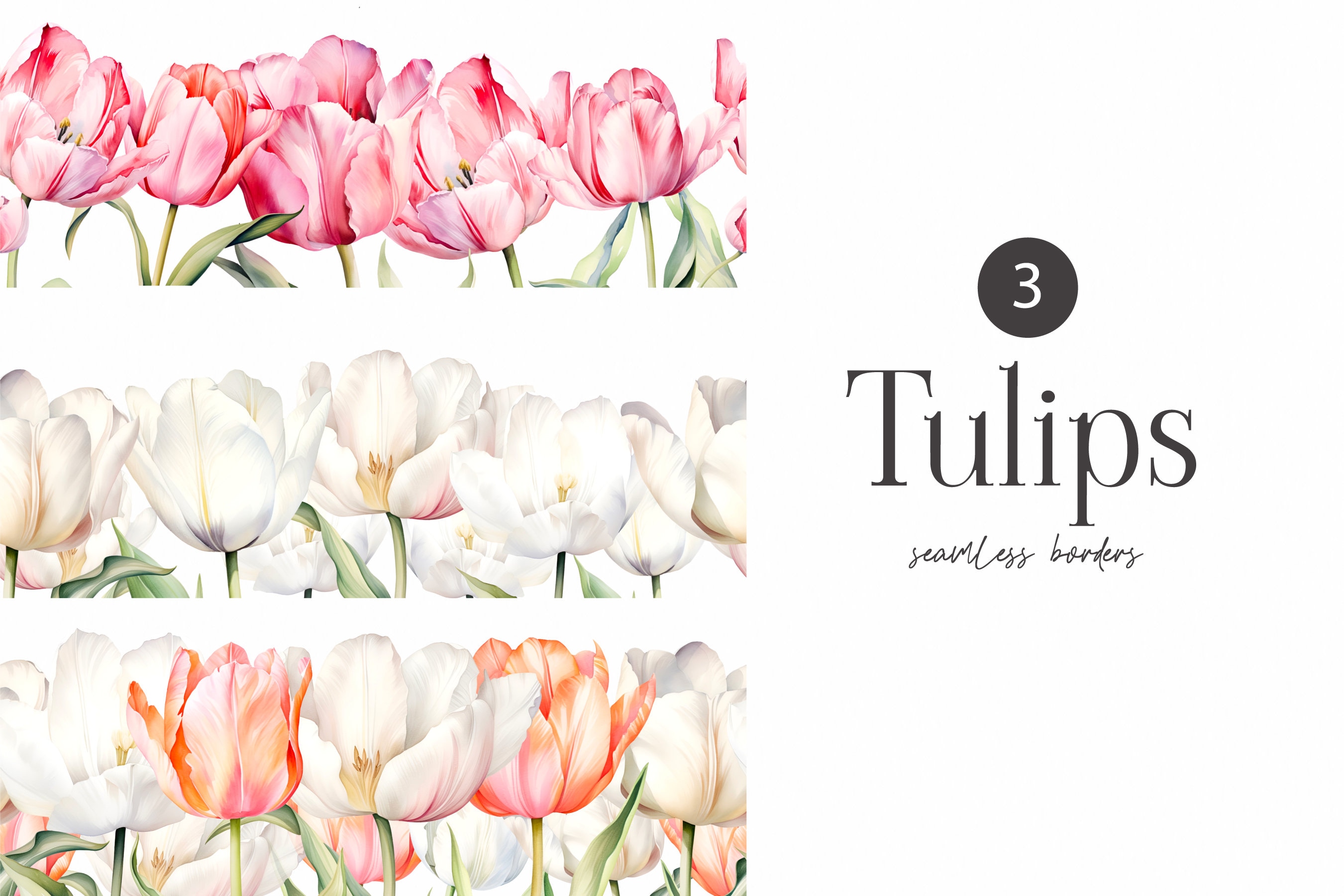 Watercolor Tulips Clipart Watercolor Floral Clipart Png Watercolor ...