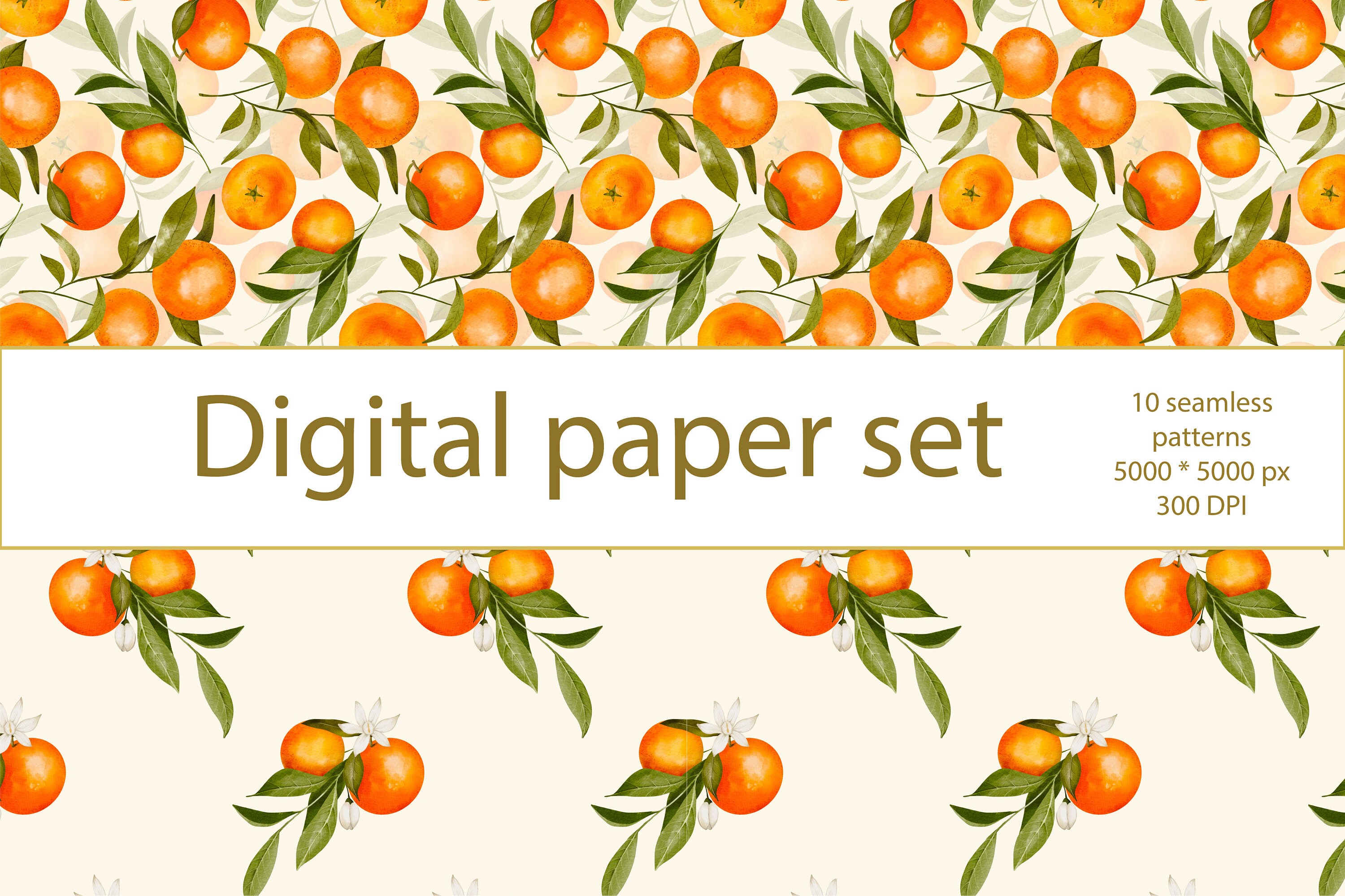 Patterns Clipart Watercolor Orange Digital Paper Set Seamless Pattern ...