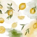 Watercolor Citrus Clipart - Botanical Citrus Illustration for Boho ...