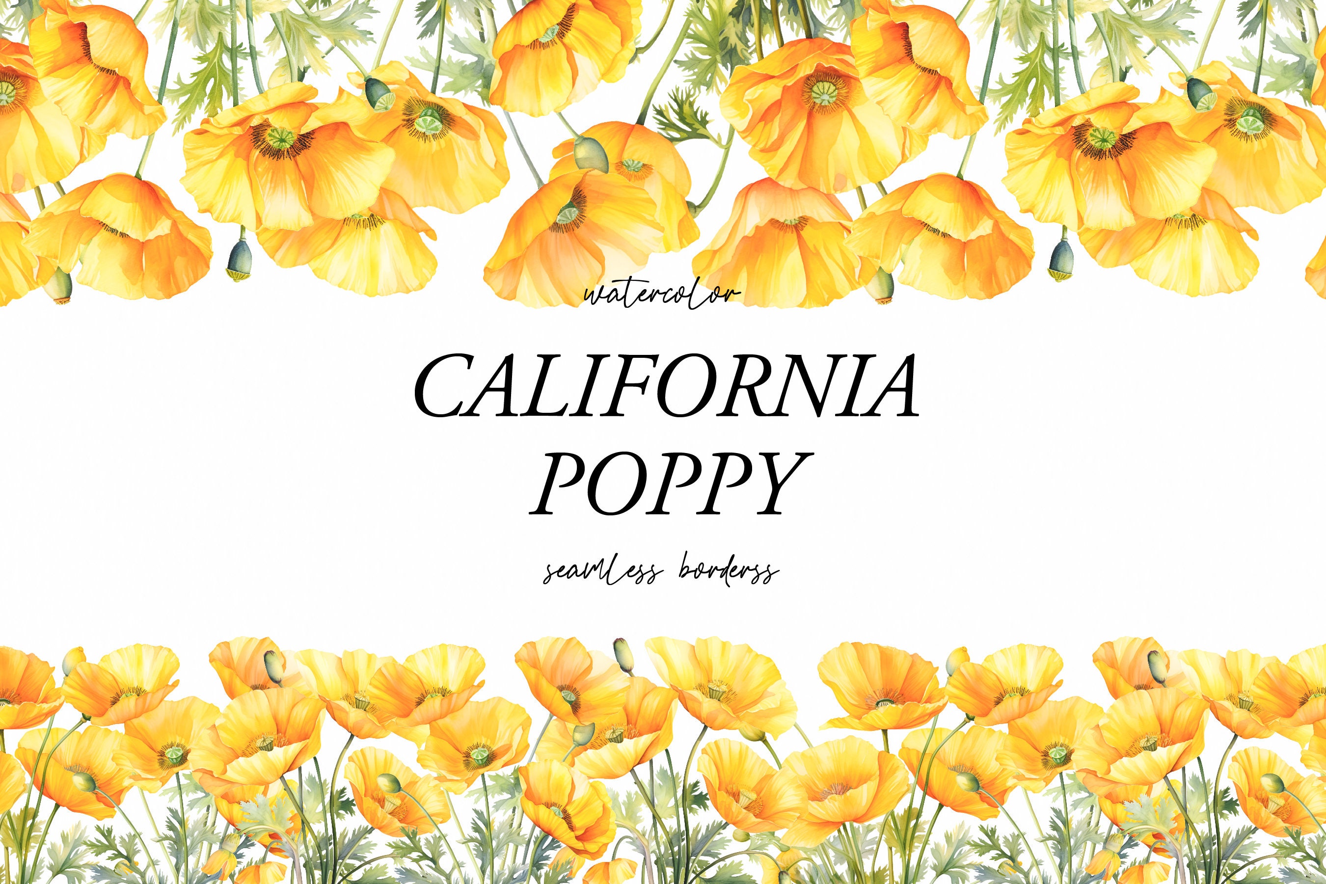 Watercolor Poppy Floral Clipart Red Poppies Clipart Png Abstract Red ...