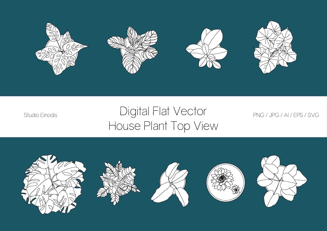 Flat Vector House Plants Top View - Digital Files of 9 Plants. EPS, AI ...