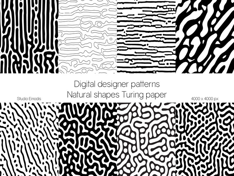 Natural Shapes Turing Paper Pattern Bundle- Black and White Vector and ...