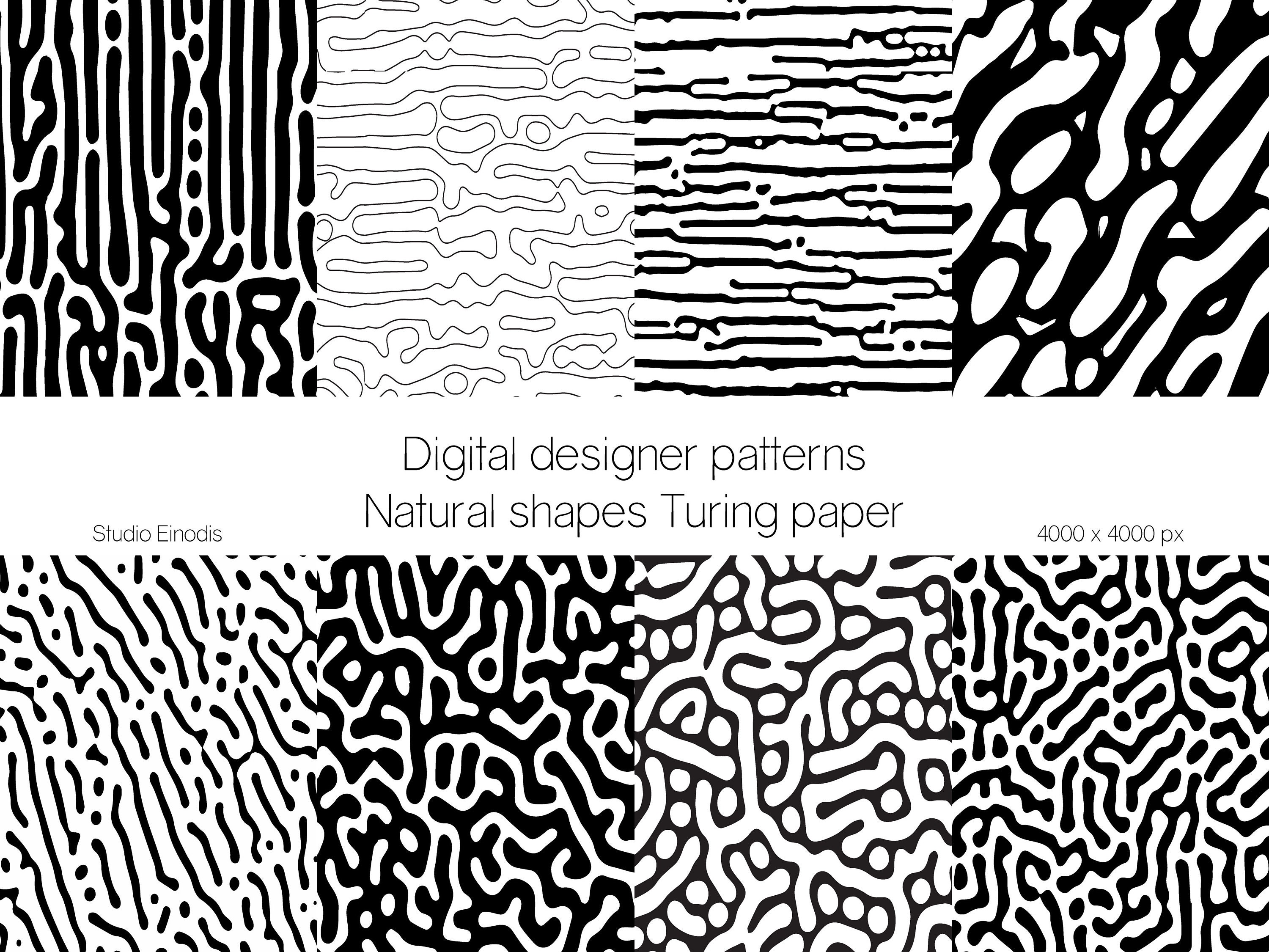 Natural Shapes Turing Paper Pattern Bundle- Black and White Vector and ...