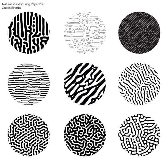 Patrones De Textura En